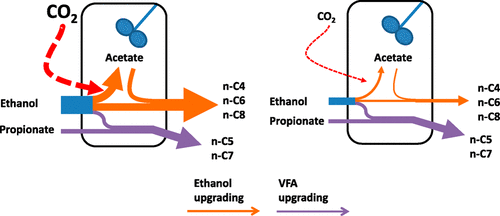 Controlling Ethanol Use in Chain Elongation by CO2 Loading Rate ...