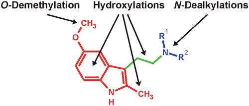 Metabolism of the tryptamine‐derived new psychoactive substances 5‐MeO ...