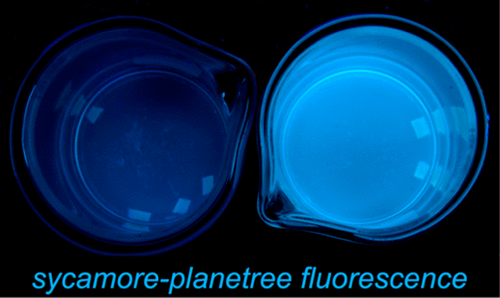 Hands-On Demonstration of Natural Substance Fluorescence in Simple Tree ...