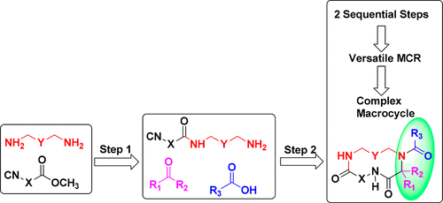 Two-Step Macrocycle Synthesis by Classical Ugi Reaction.,The Journal of ...