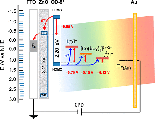 Surface Photovoltage Spectroscopy Resolves Interfacial Charge ...