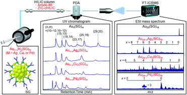 High-performance liquid chromatography mass spectrometry of gold and ...