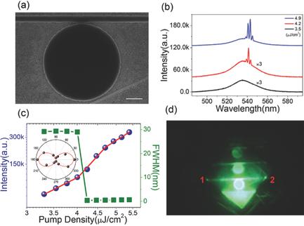 Lead Halide Perovskite Based Microdisk Lasers for On‐Chip Integrated ...