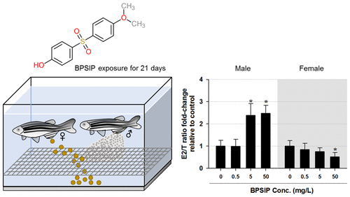 4-羟基苯基4-异丙氧基苯砜（BPSIP）暴露对斑马鱼繁殖和内分泌系统的影响,Environmental Science ...