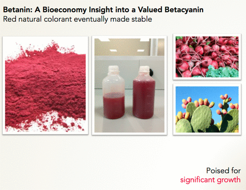 Betanin：对有价值的Betacyanin的生物经济洞察,ACS Sustainable Chemistry & Engineering ...