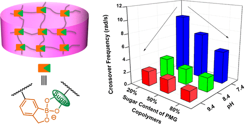 Injectable Self-Healing Zwitterionic Hydrogels Based on Dynamic ...