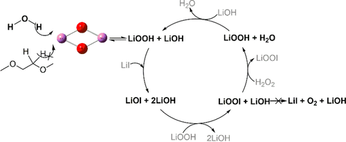 Exploring the LiOH Formation Reaction Mechanism in Lithium–Air ...