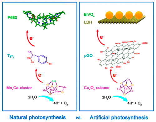 Mimicking the Key Functions of Photosystem II in Artificial ...