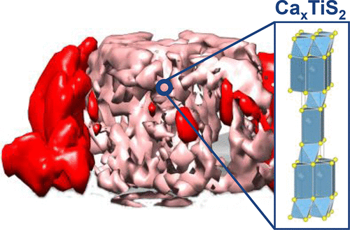 Electrochemical Intercalation of Calcium and Magnesium in TiS2 ...