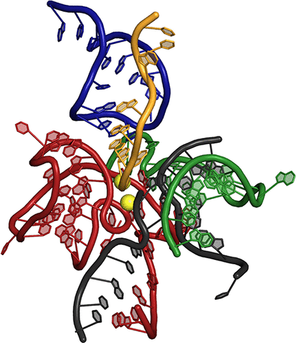 Molecular Mechanism and Evolution of Nuclear Pre-mRNA and Group II ...
