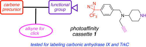 Click-Addressable Cassette for Photoaffinity Labeling.,ACS Medicinal ...