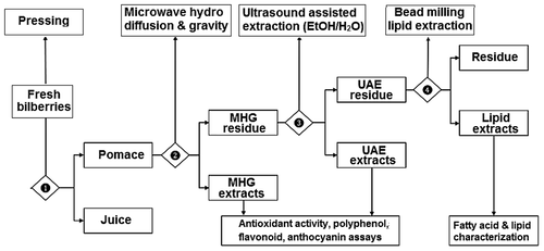 Biorefining of Bilberry (Vaccinium myrtillus L.) Pomace Using Microwave ...