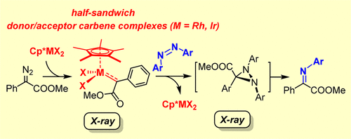 Structure and Reactivity of Half-Sandwich Rh(+3) and Ir(+3) Carbene ...