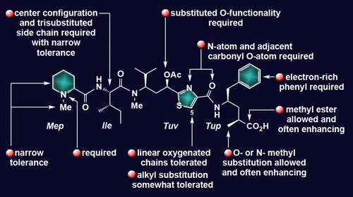 Improved Total Synthesis of Tubulysins and Design, Synthesis, and ...
