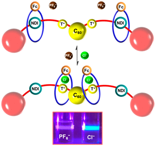 Anion mediated photophysical behavior in a C60 fullerene [3]rotaxane ...