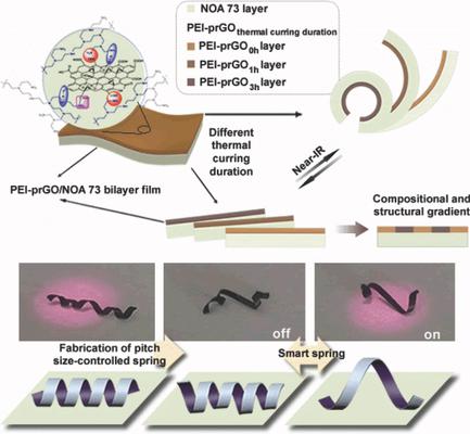 Programmable Light‐Activated Gradient Materials Based on Graphene ...