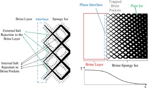 A finite difference solution for freezing brine on cold substrates of ...