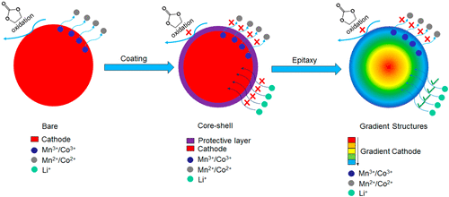 Mechanisms of Degradation and Strategies for the Stabilization of ...