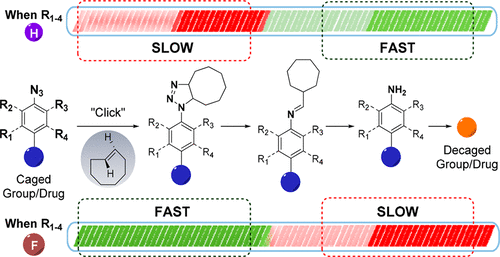 Mechanistic Evaluation of Bioorthogonal Decaging with trans-Cyclooctene ...