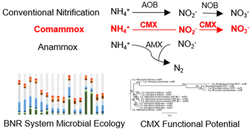 Comammox Functionality Identified in Diverse Engineered Biological ...