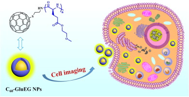 A Novel method for the preparation of fluorescent C60 poly(amino acid ...