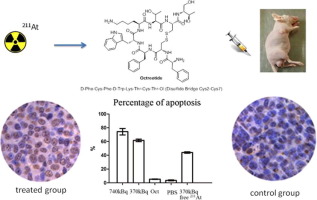 Evaluation of astatine-211-labeled octreotide as a potential ...