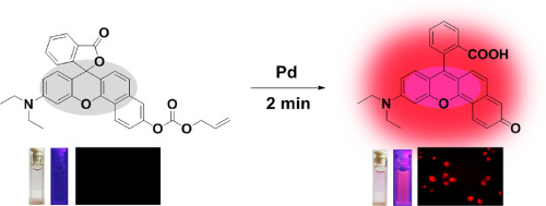 A simple but effective colorimetric and far-red to near-infrared fluorescent probe for palladium ...
