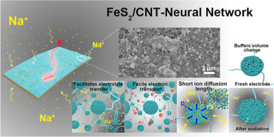 High-rate FeS2/CNT neural network nanostructure composite anodes for ...