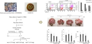 Acetonic extracts of the endolichenic fungus EL002332 isolated from ...