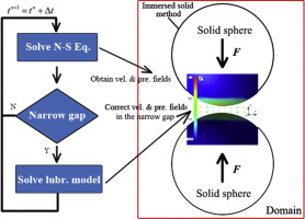 An immersed lubrication model for the fluid flow in a narrow gap region ...