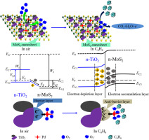 Fabrication of Pd-decorated TiO2/MoS2 ternary nanocomposite for ...
