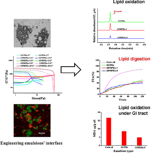Development of Pickering Emulsions Stabilized by Gliadin/Proanthocyanidins Hybrid Particles ...
