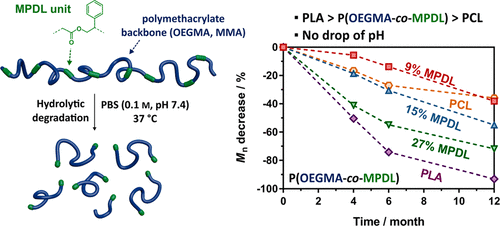 Tunable Degradation of Copolymers Prepared by Nitroxide-Mediated ...