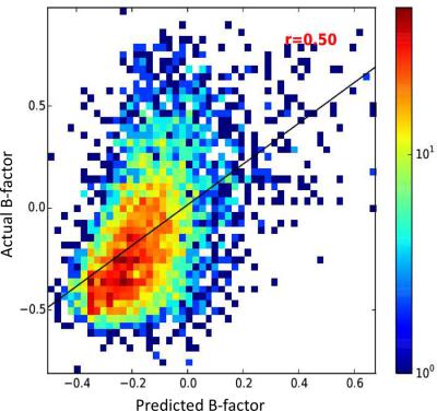 B -factor profile prediction for RNA flexibility using support vector ...