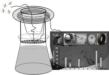 Seasonal field efficacy of pyriproxyfen autodissemination stations ...