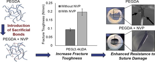 Introduction of sacrificial bonds to hydrogels to increase defect ...