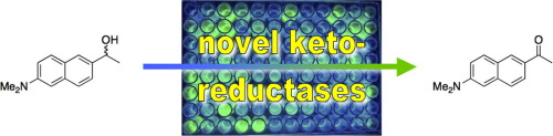 Fluorogenic kinetic assay for high-throughput discovery of ...