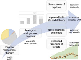 Therapeutic peptides: Historical perspectives, current development ...