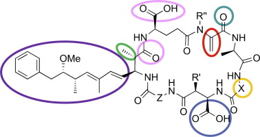 Microcystins: Synthesis and structure–activity relationship studies ...