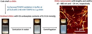 Chitin Nanocrystals Prepared by Oxidation of α-Chitin using the O2 ...