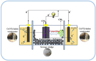 Electronic and metagenomic insights into the performance of ...