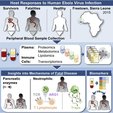 Multi-platform ’Omics Analysis of Human Ebola Virus Disease ...