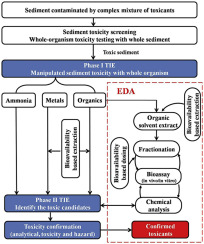 Diagnosis of complex mixture toxicity in sediments: Application of ...