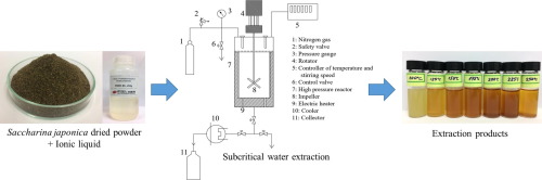 Ionic liquid-assisted subcritical water enhances the extraction of ...