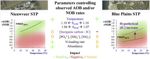 Pinpointing wastewater and process parameters controlling the AOB to ...