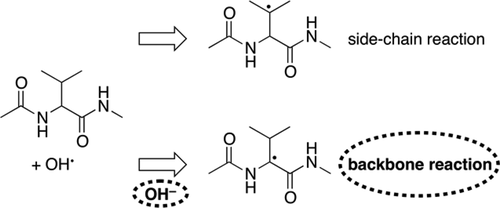 Effect of Hydrogen Bonding and Partial Deprotonation on the Oxidation ...
