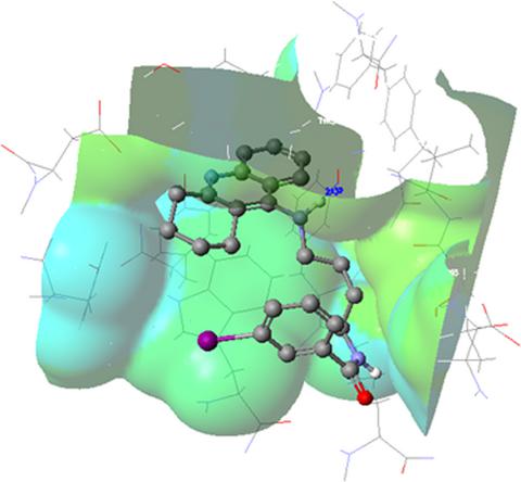 Novel tetrahydroacridine derivatives with iodobenzoic acid moiety as ...