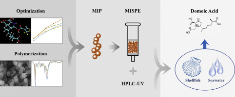 应用分子建模和实验研究来开发分子印迹聚合物，以从海水和贝类中富集海藻酸,Chemosphere - X-MOL