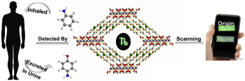 The point-of-care colorimetric detection of the biomarker of ...