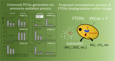 通过氨氧化工艺增强从氟调聚物醇（FTOH）生成全氟烷基羧酸（PFCA）,Chemosphere - X-MOL